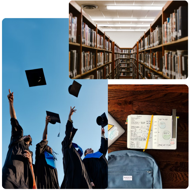 sapience college